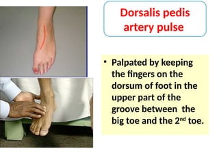 Examination of arterial and venous pulse Mbbs physiology.pptx