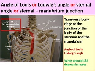 Examination of arterial and venous pulse Mbbs physiology.pptx