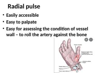Examination of arterial and venous pulse Mbbs physiology.pptx