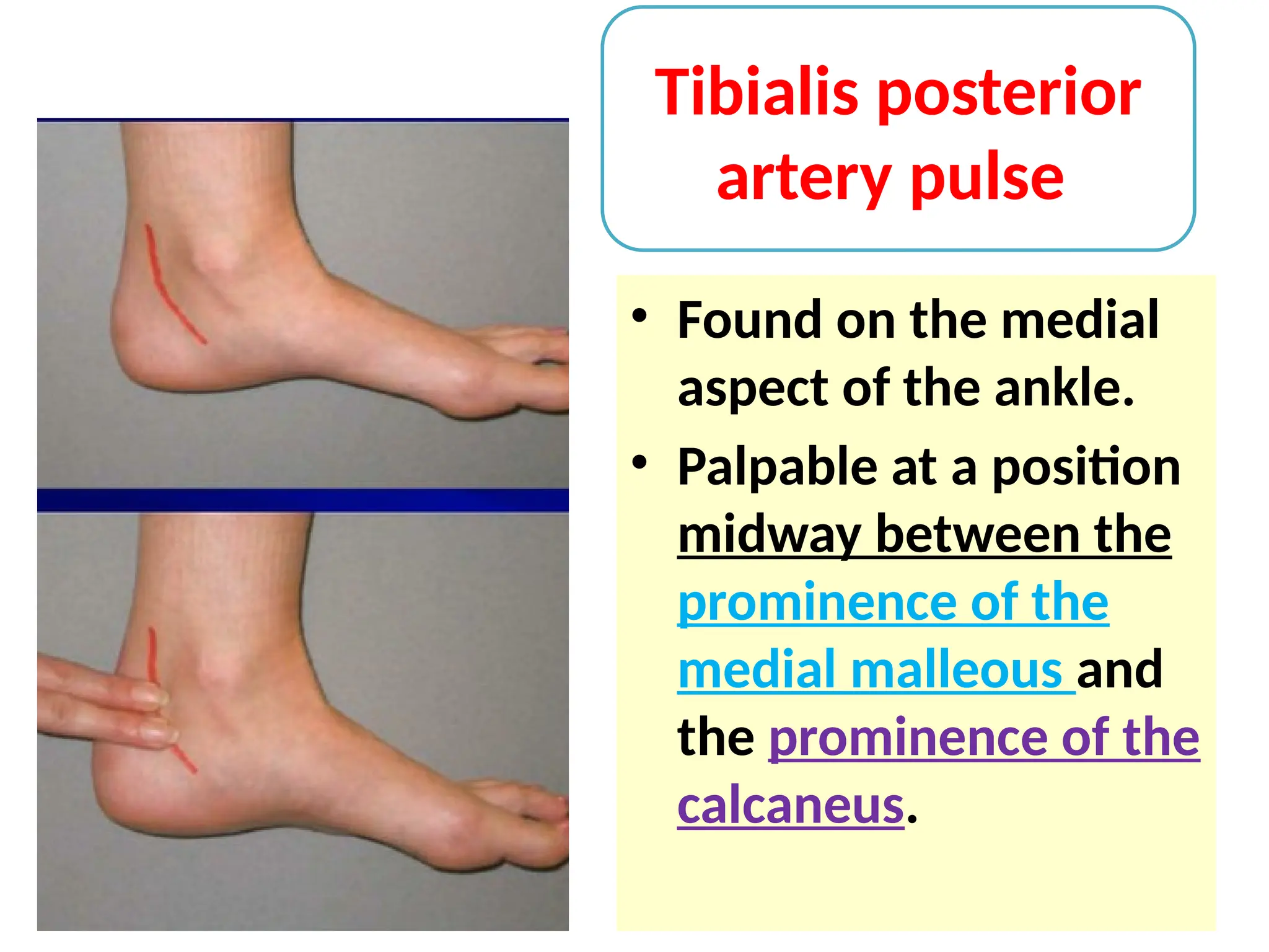 Examination of arterial and venous pulse copy.pptx