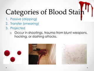 Examination of blood | PPTX