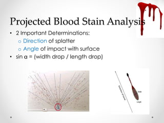 Examination of blood | PPTX