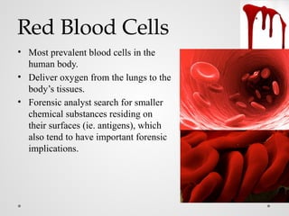 EXAMINATION OF BLOOD IN FORENSICS .pptx