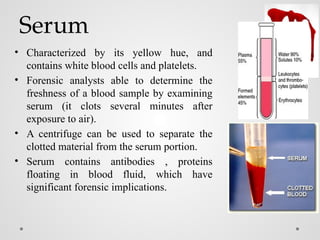 EXAMINATION OF BLOOD IN FORENSICS .pptx