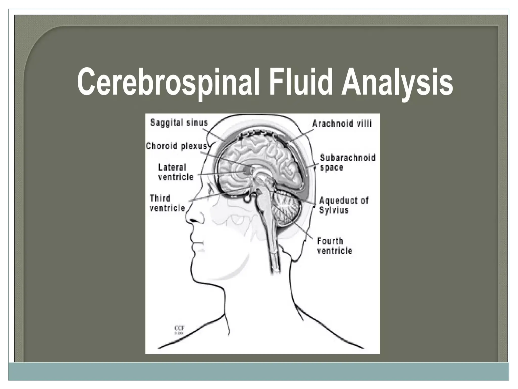 Examination of body cavity fluids (1).pptx