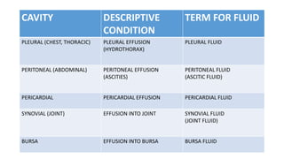 EXAMINATION OF BODY FLUIDS.pptx