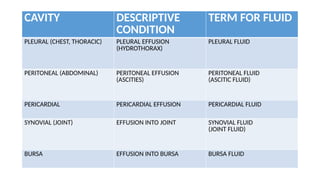 EXAMINATION_OF_BODY_FLUIDS David(1).pptx