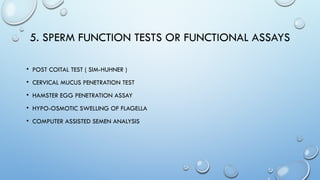 Examination of body fluids practical.pptx