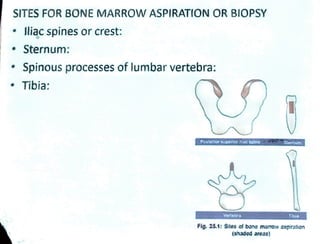 Examination of Bone marrow.pdf