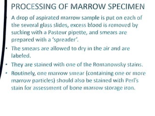 Examination of Bone marrow.pdf