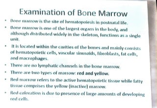 BONE MARROW EXAM | PPT