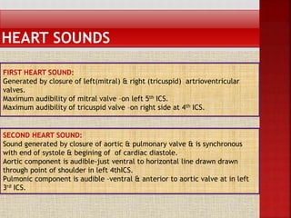 Examination of cardiovascular system | PPT