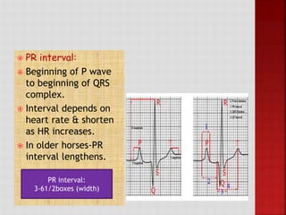 Examination of cardiovascular system | PPT