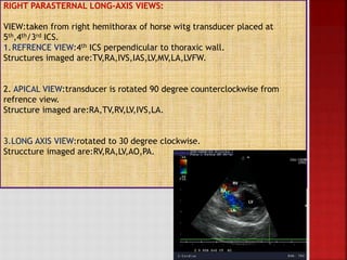 Examination of cardiovascular system | PPT