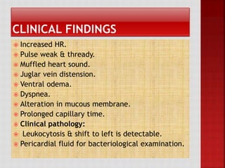 Examination of cardiovascular system | PPT