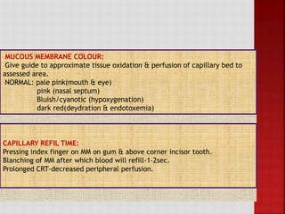 Examination of cardiovascular system | PPT