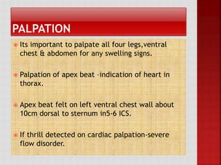 Examination of cardiovascular system | PPT