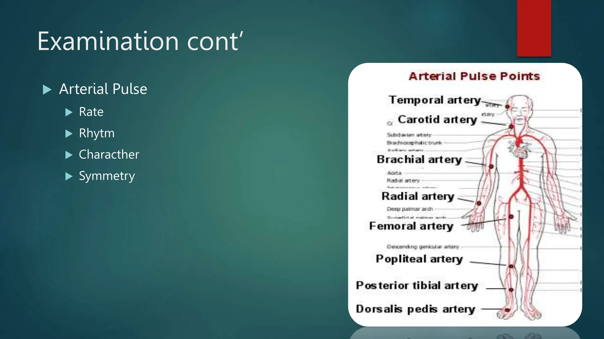 Examination of Cardiovascular system.pptx