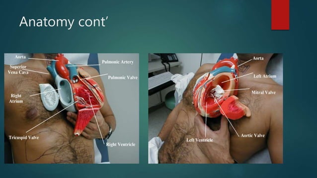 Examination of Cardiovascular system.pptx