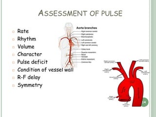 examinationofcardiovascularsystempediatrics-200510144322.pdf