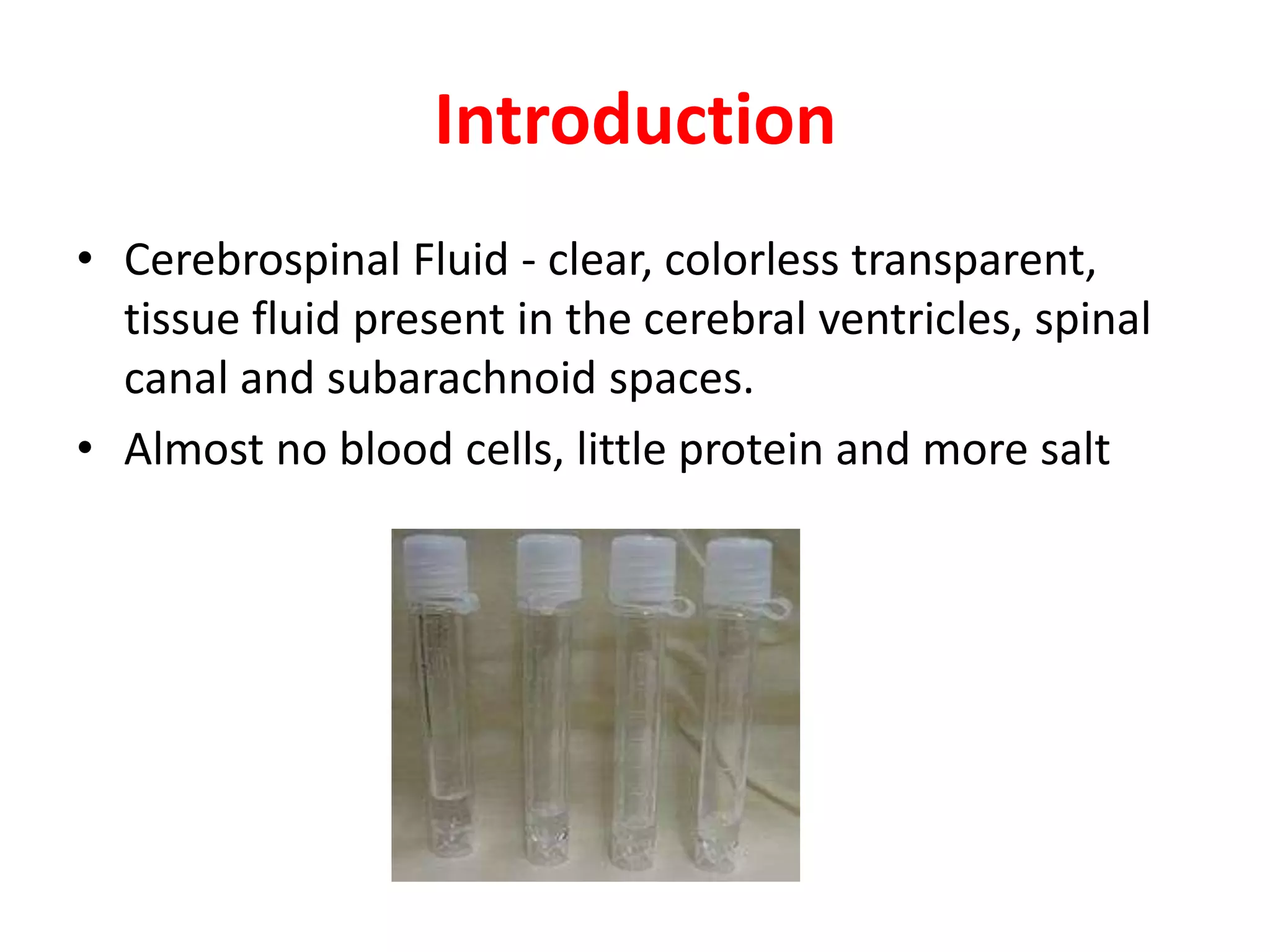 Examination of cerebrospinal fluid presentation mode | PPSX