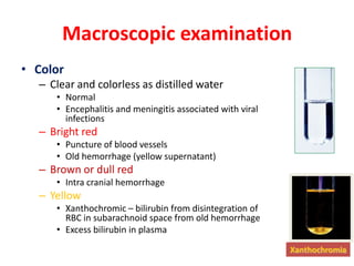 Cerebrospinal Fluid Color
