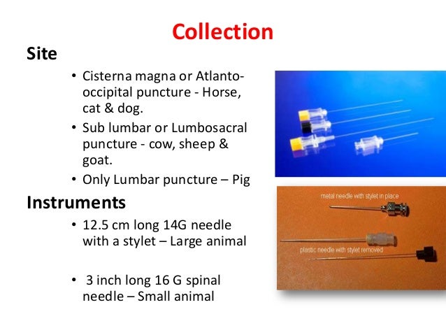 Examination of cerebrospinal fluid presentation mode