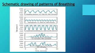Examination of Chest shorts clinical.pptx