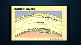 Examination of cornea | PPTX