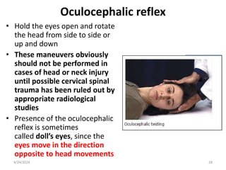 Examination of Cranial Nerves.pptx Anatomy | PPTX