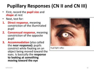 Examination of Cranial Nerves.pptx Anatomy | PPTX