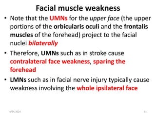 Examination of Cranial Nerves.pptx Anatomy | PPTX