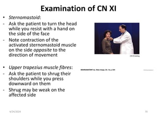 Examination of Cranial Nerves.pptx Anatomy | PPTX