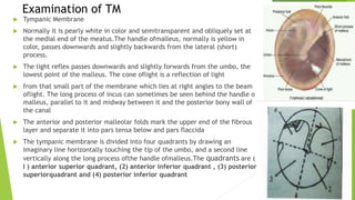 Tympanic Membrane Exam Slidesho