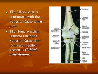 Examination of elbow | PPT