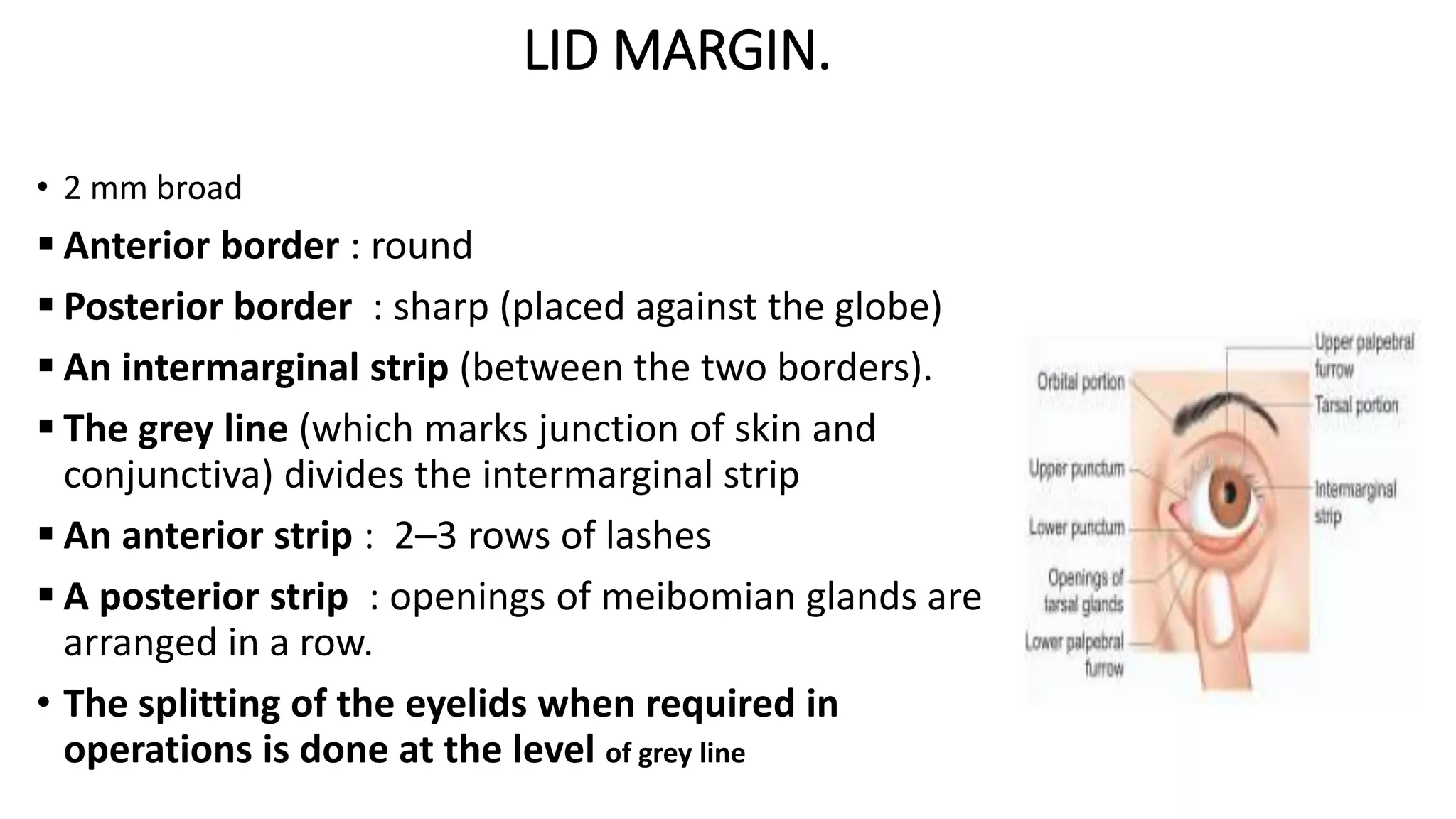 Examination of eye | PPTX
