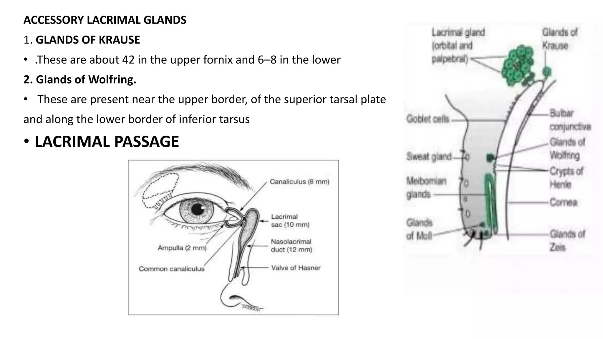 Examination of eye | PPTX