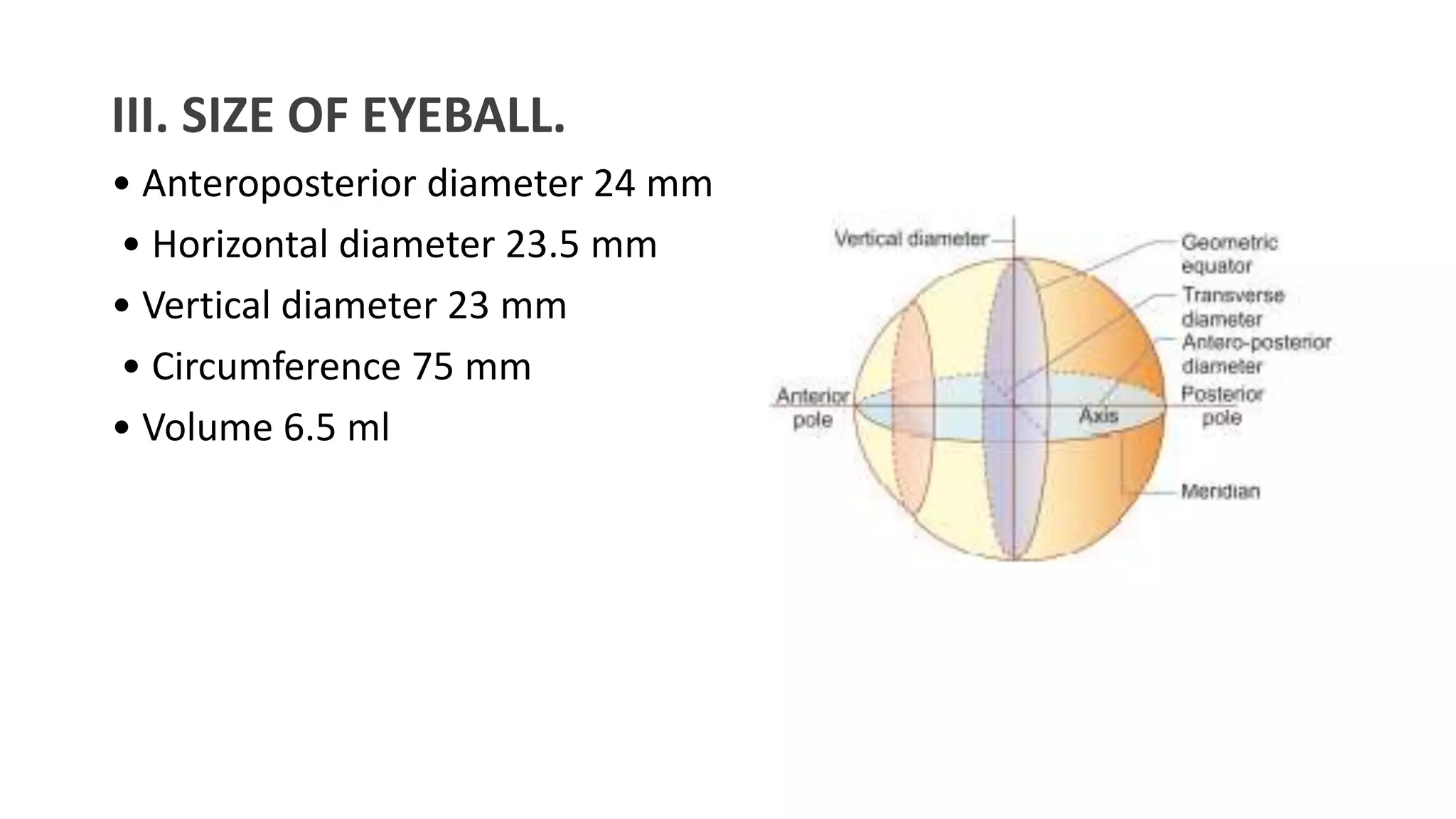 Examination of eye | PPTX