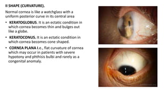 Examination of eye | PPTX