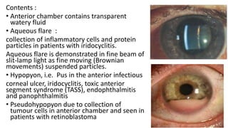 Examination of eye | PPTX