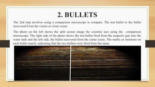 Examination of Firearm through Cartridge Case and bullet.pptx