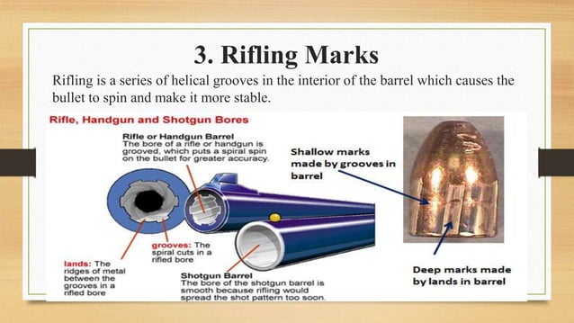Examination of Firearm through Cartridge Case and bullet.pptx