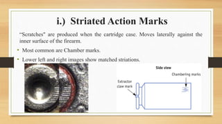 Examination of Firearm through Cartridge Case and bullet.pptx