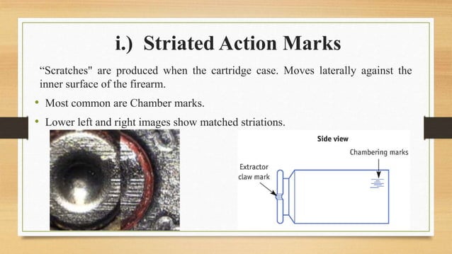 Examination of Firearm through Cartridge Case and bullet.pptx