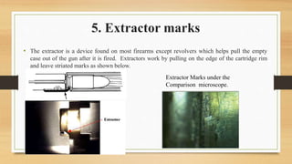 Examination of Firearm through Cartridge Case and bullet.pptx