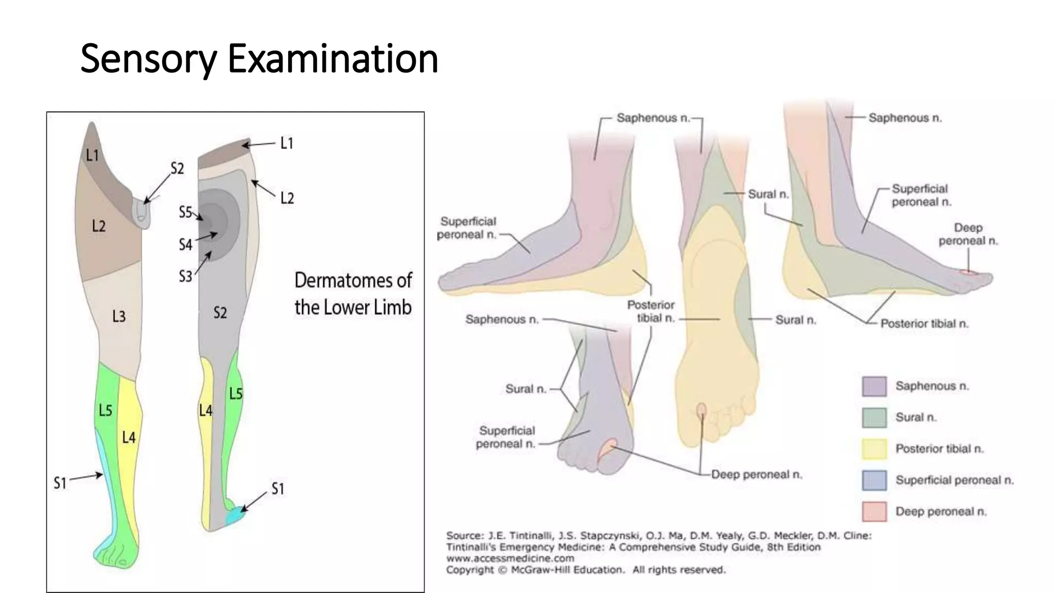 Examination of foot and ankle slideshare | PPTX