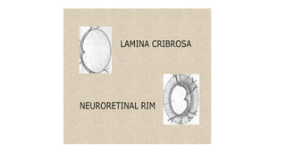 EXAMINATION OF FUNDUS and its description | PPTX