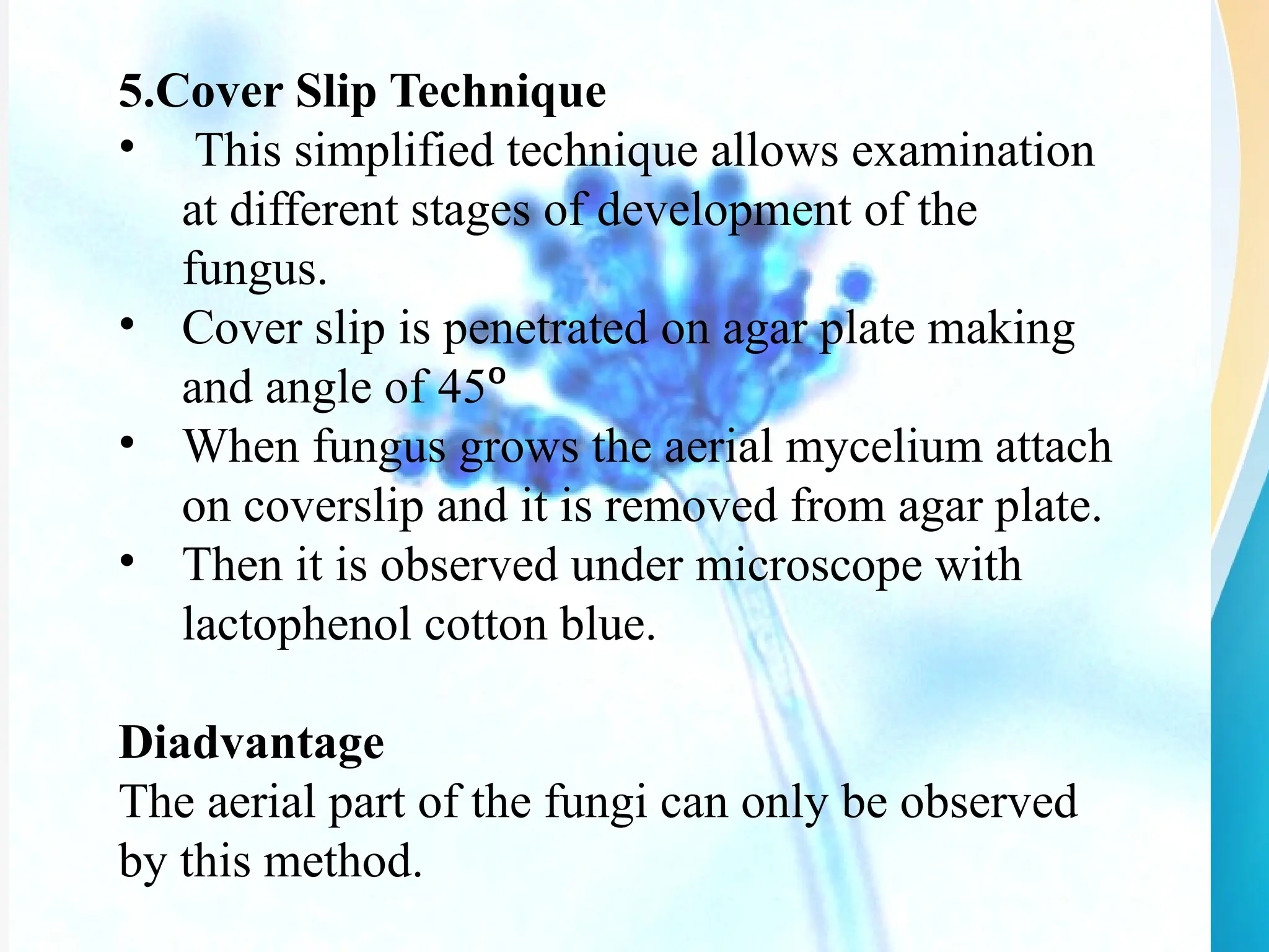 Microscopic Examination of fungi notes for microbiology students.pptx