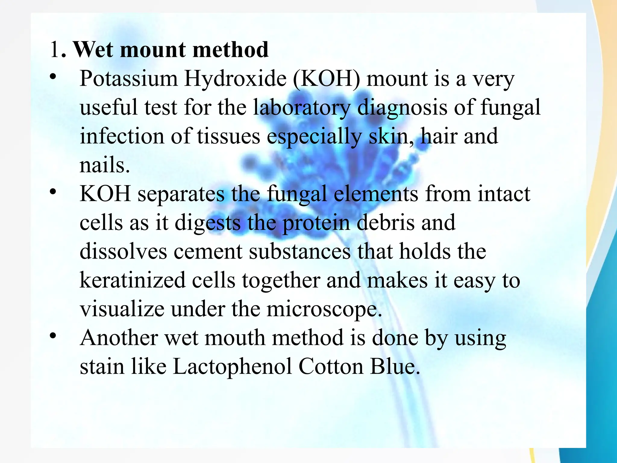 Microscopic Examination of fungi notes for microbiology students.pptx