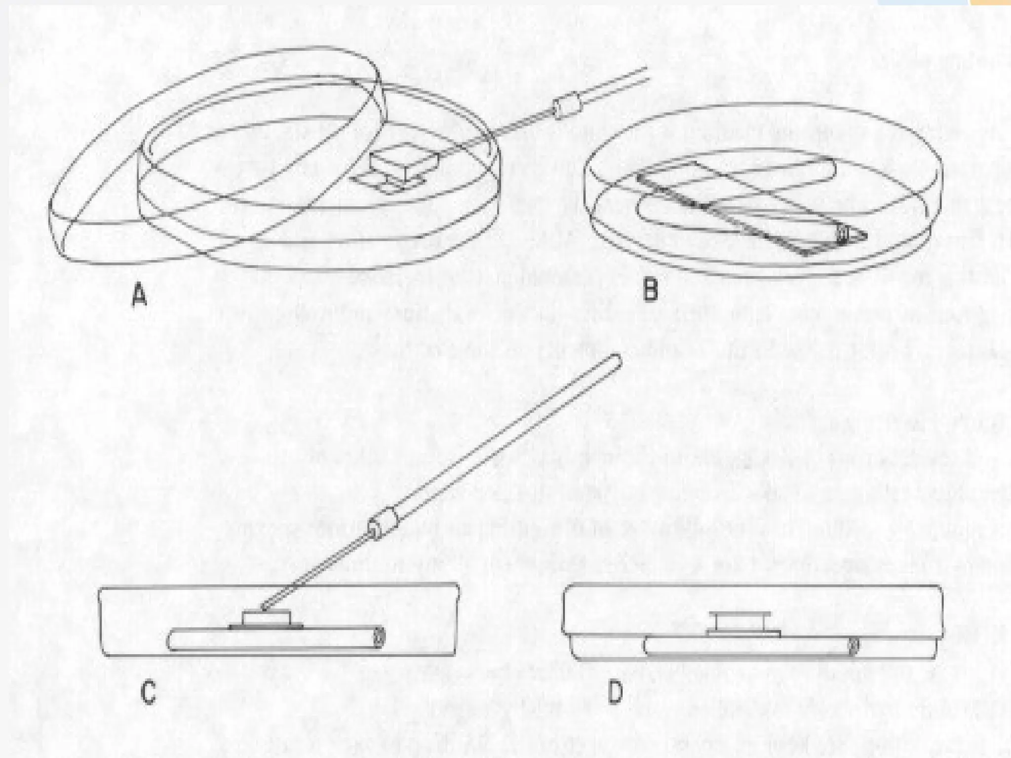 Microscopic Examination of fungi notes for microbiology students.pptx